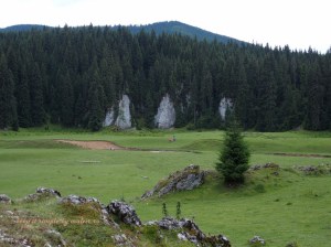 Apuseni…. – keep it simple