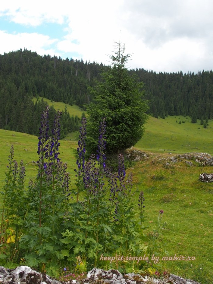 Apuseni…. – keep it simple
